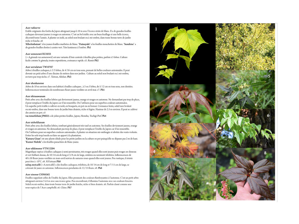 CATALOGUE-GUIDE papier : Arbres et arbustes